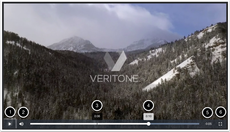 What video player controls are available?