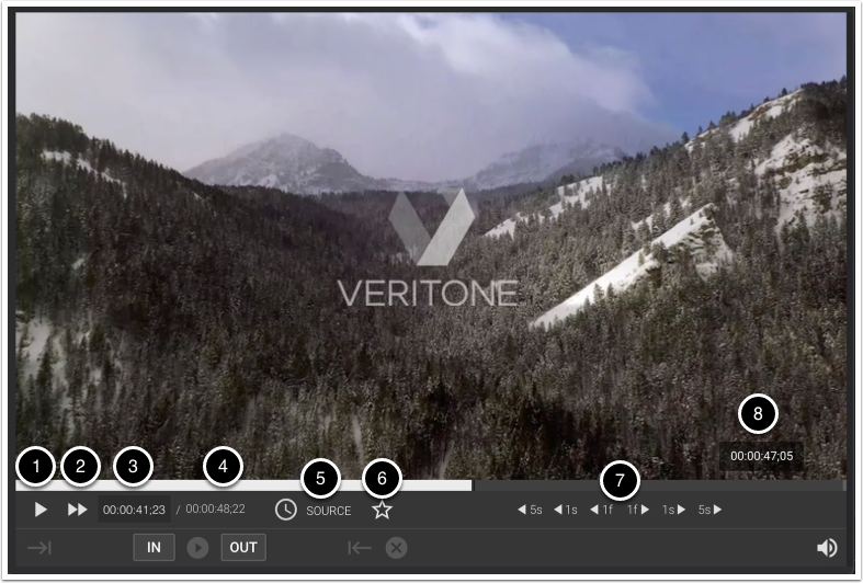 What video player controls are available?